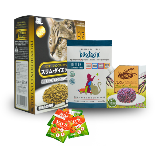 creapackthai.com – Packaging Service